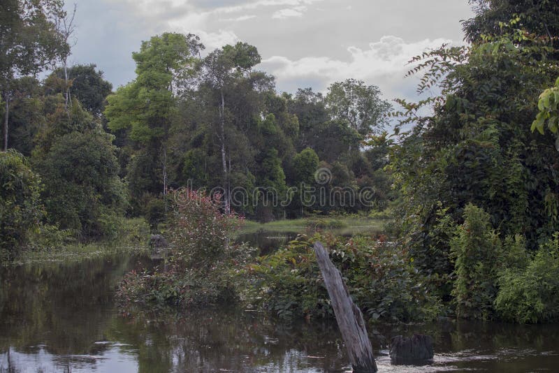 Bogor west java stock photo. Image of building, java - 250041240