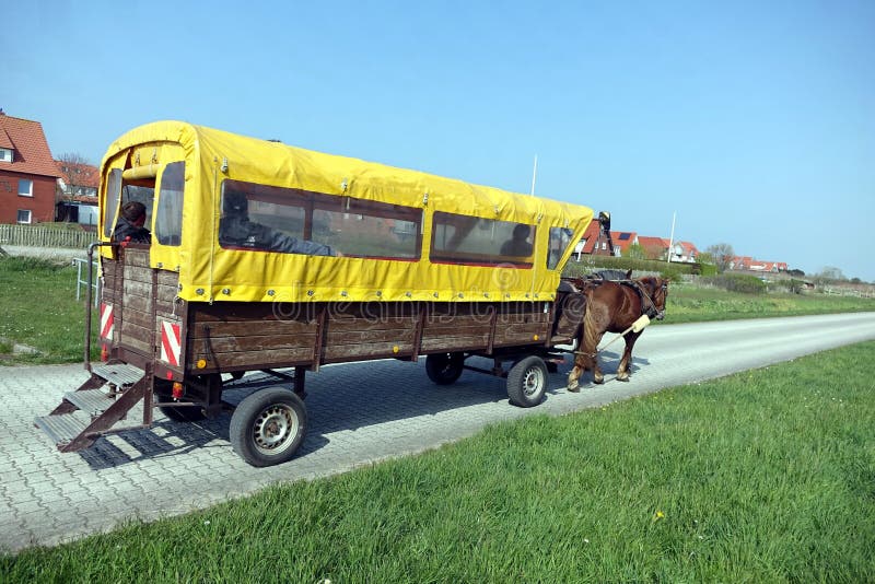 Boguet hippomobile photo éditorial. Image du charleston - 53553286