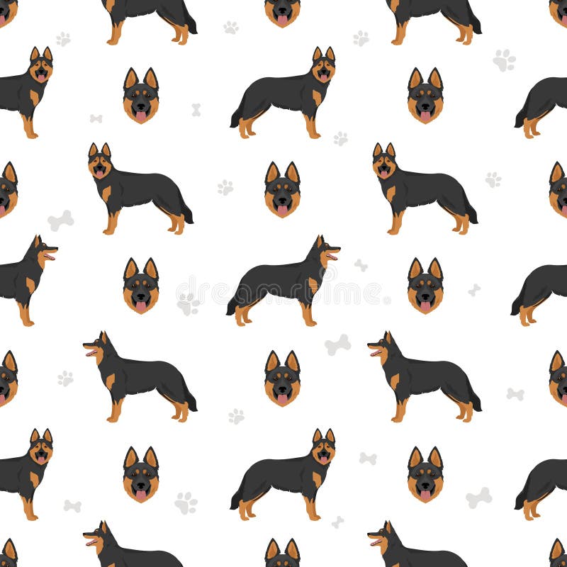 Bohemian Shepherd Dog Seamless Pattern Stock Vector - Illustration of ...