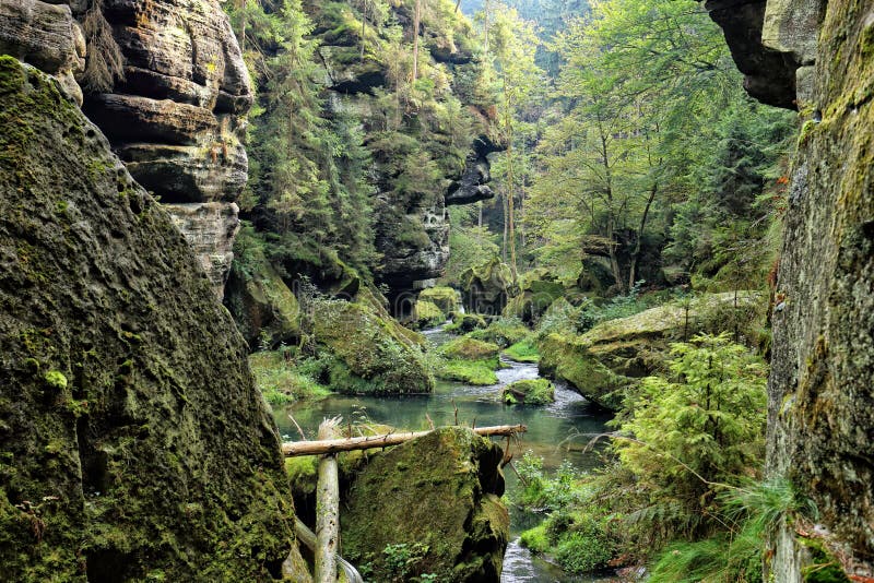 Stone In Forest - Bohemian Switzerland Stock Image - Image of ceske ...