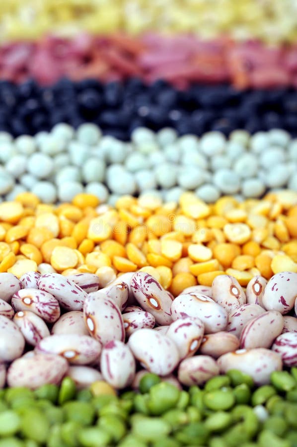 Flache Bohnen stockfoto. Bild von trocken, bohnen, flach - 30906508