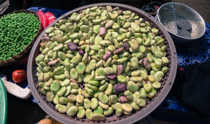 Bohnen Fava frisch stockfoto. Bild von standplatz, bohnen - 51896804