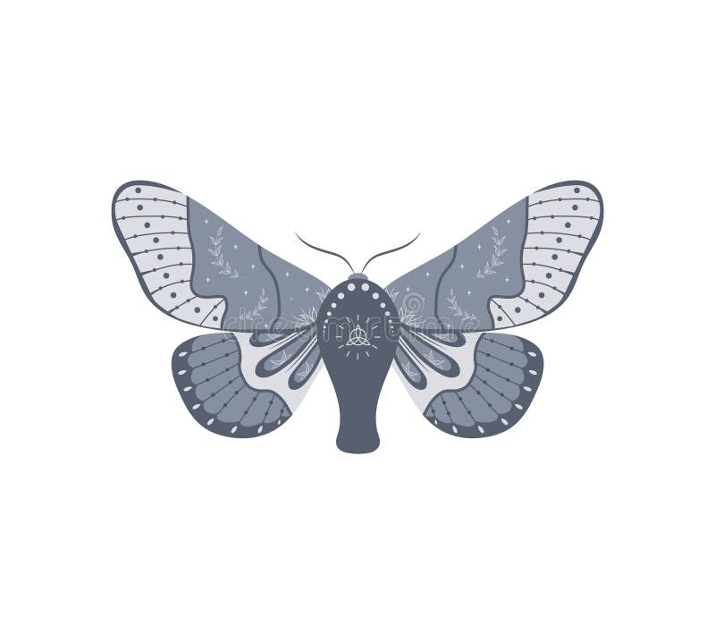 Boho Butterfly. Insect with Celestial Elements. Witch and Magic Symbol ...