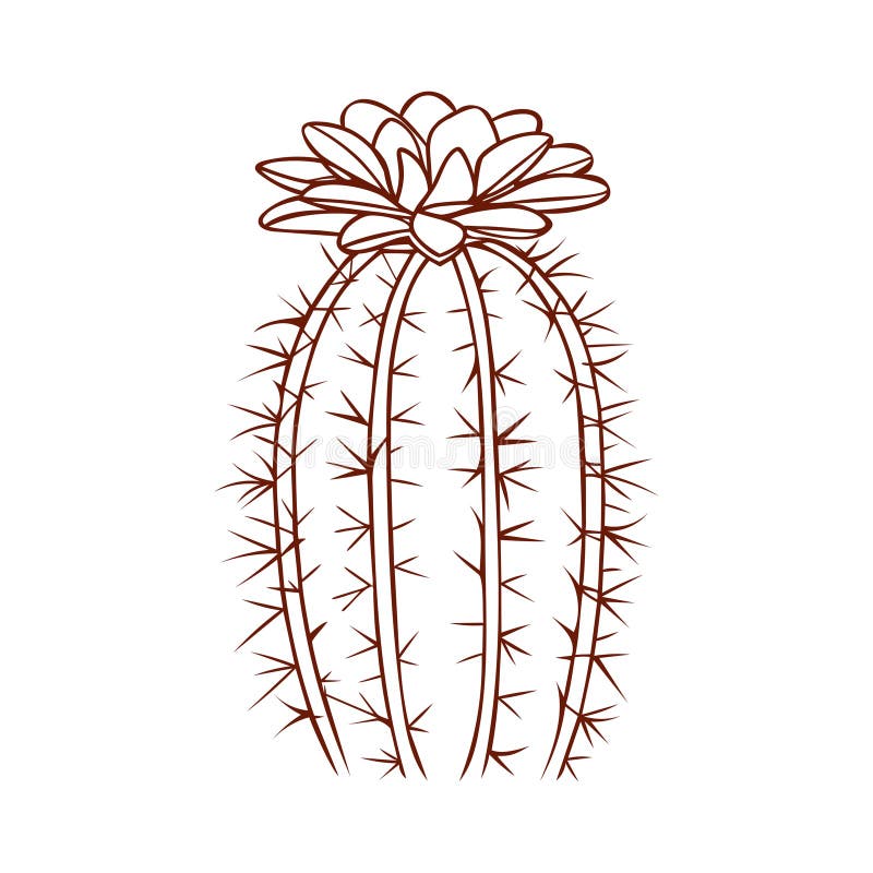 Boho Flower Cactus Bloom Icon Stock Vector - Illustration of bohemian ...