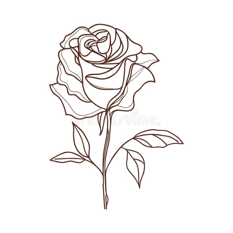 Boho Flower Romantic Rose Icon Stock Vector - Illustration of ornament ...