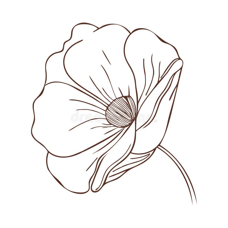 Boho Flower Soft Petal Icon Stock Vector - Illustration of nature ...