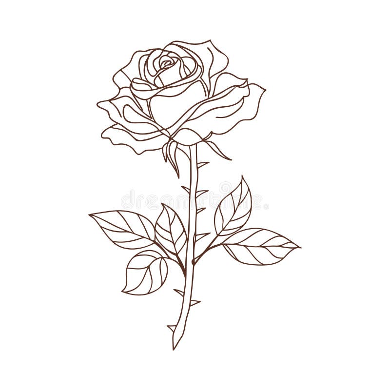 Boho Flower Wild Rose Icon stock illustration. Illustration of rose ...