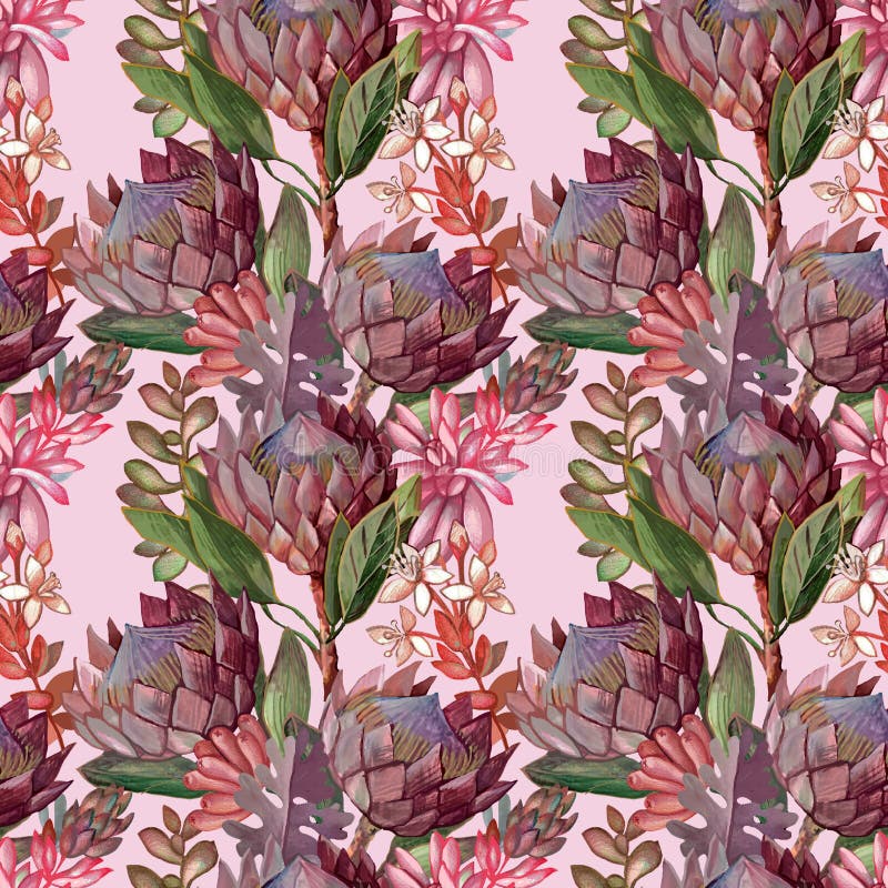 Boho Style Seamless Pattern with Tropical Protea Flowers on a Light Pink Background Stock ...