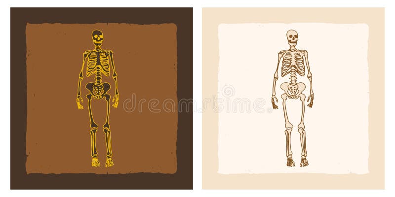 Boho Style Skeleton Sketch Illustration Stock Vector - Illustration of ...
