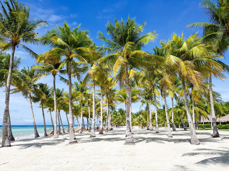 Bohol Beach, Philippines stock image. Image of asia - 106748693