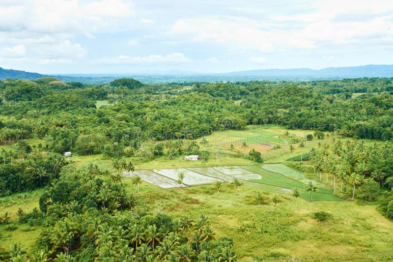 Bohol Island, Philippines stock photo. Image of bohol - 33229494