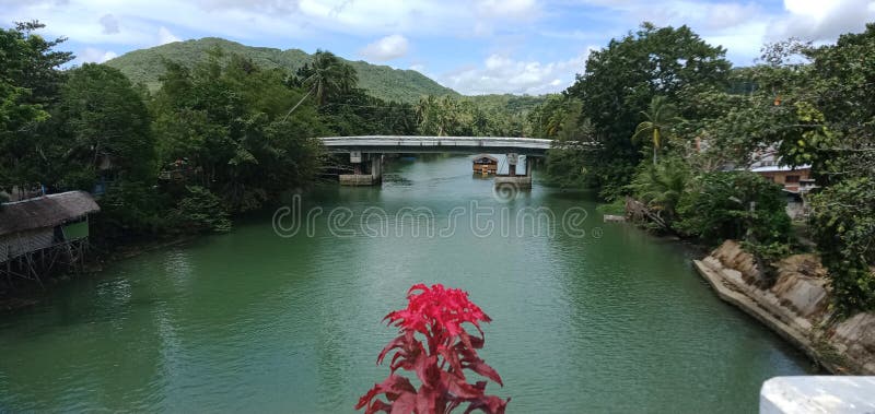 Bohol loboc river stock image. Image of loboc, greenwater - 174675689