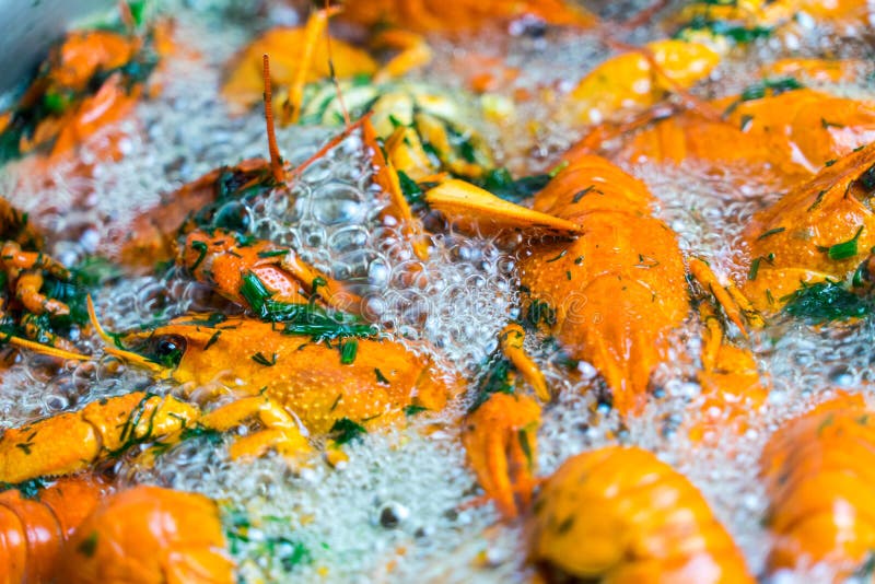 Crayfish Pot stock image. Image of gourmet, cooking, boiled - 32562861