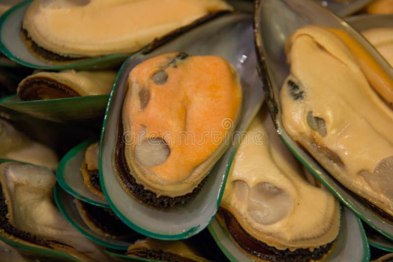 Boiled the Asian Green Mussel Stock Photo - Image of cuisine, french ...