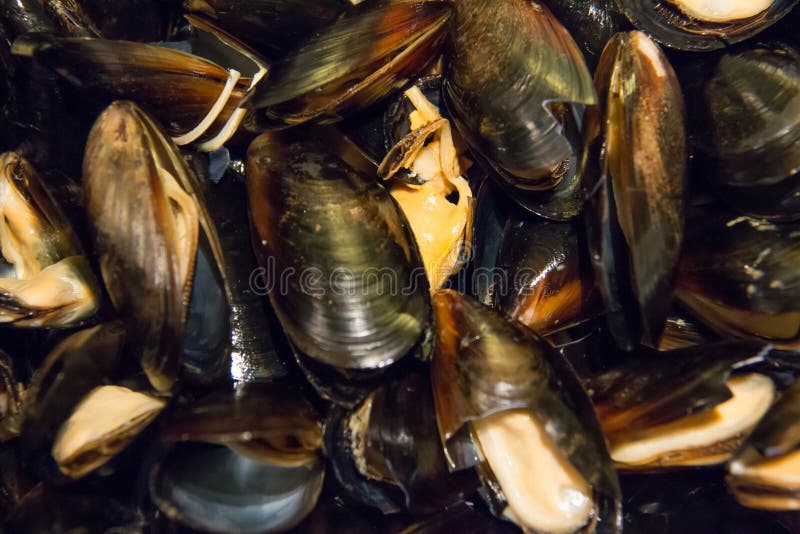 Boiled the Asian Green Mussel Stock Photo - Image of zealand, fresh ...