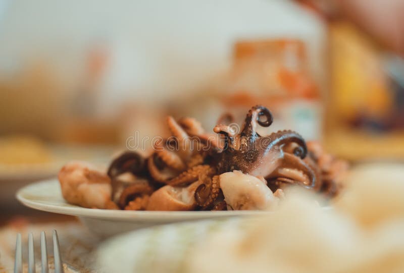 Boiled baby octopuses stock photo. Image of cephalopod - 264850502