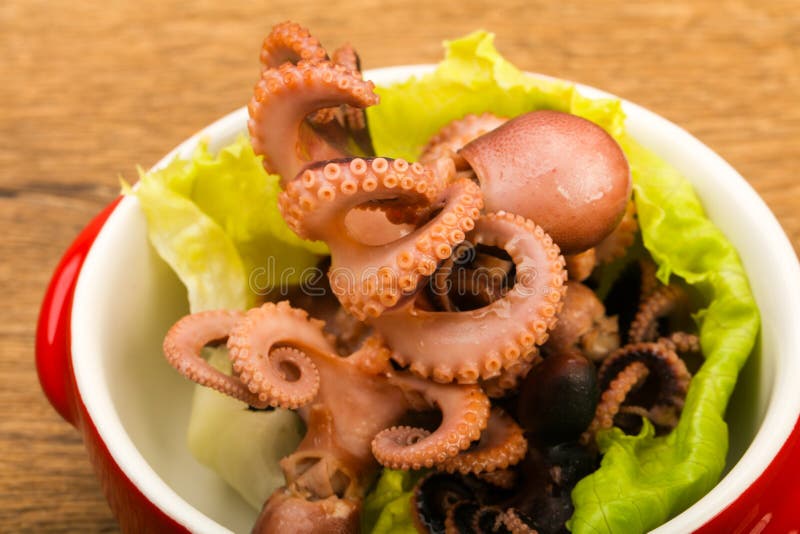 Boiled baby octopuses stock photo. Image of cuisine - 111864728