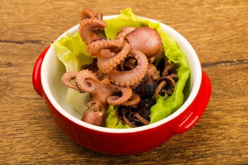 Boiled baby octopuses stock image. Image of gourmet - 112232415