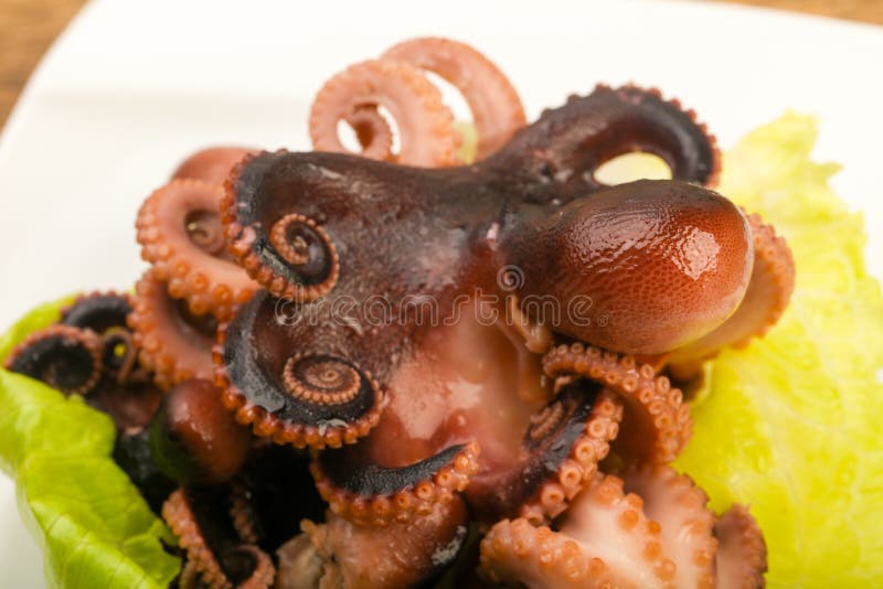 Boiled baby octopuses stock image. Image of dinner, cold - 112206535