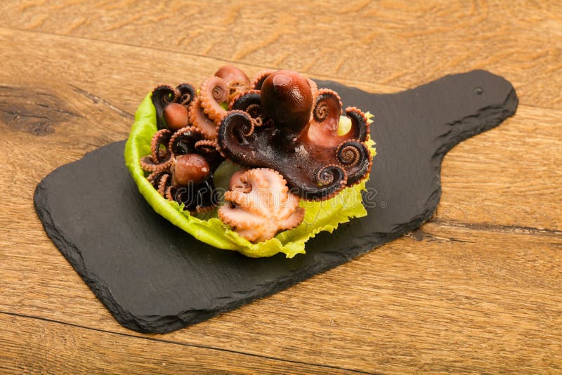 Boiled baby octopuses stock photo. Image of gourmet - 114034886