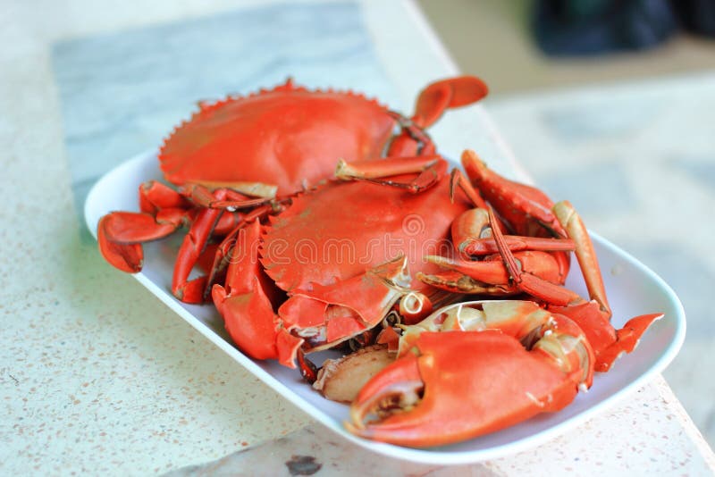 Boiled back crab stock photo. Image of crab, eating, boiled - 67480078