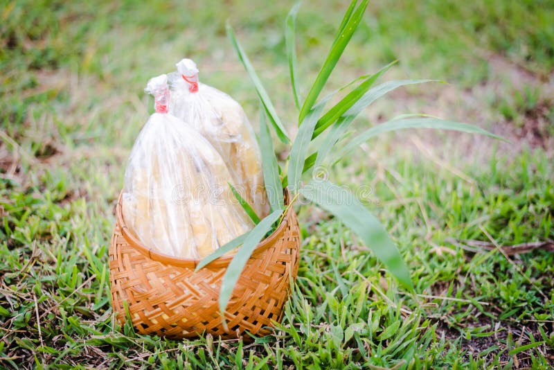 Boiled Bamboo Shoot in Packaged on Grass Ground Stock Photo - Image of ...