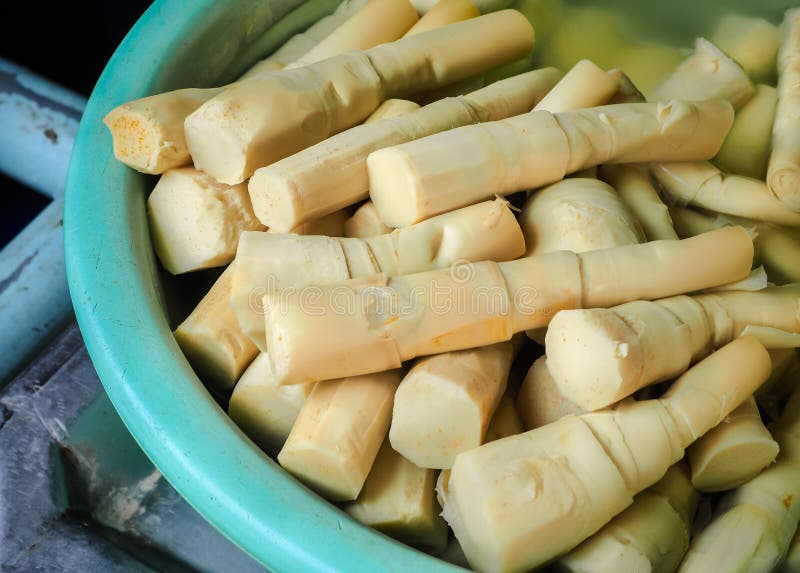 Boiled bamboo shoots stock image. Image of healthy, ingredient - 75880211