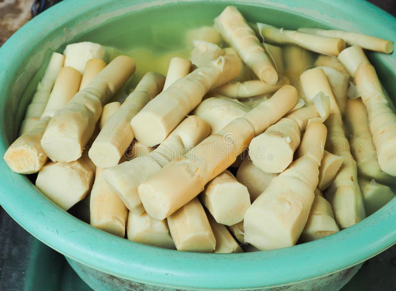 Boiled bamboo shoots stock photo. Image of japan, root - 75882158