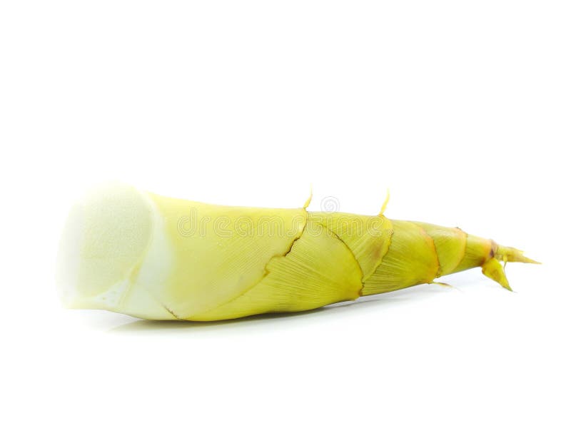 Boiled bamboo shoots stock photo. Image of green, color - 30285996