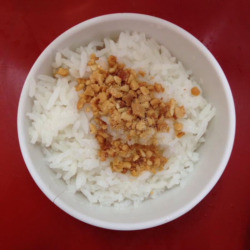 Boiled basmati rice stock image. Image of dish, fiber - 51730249