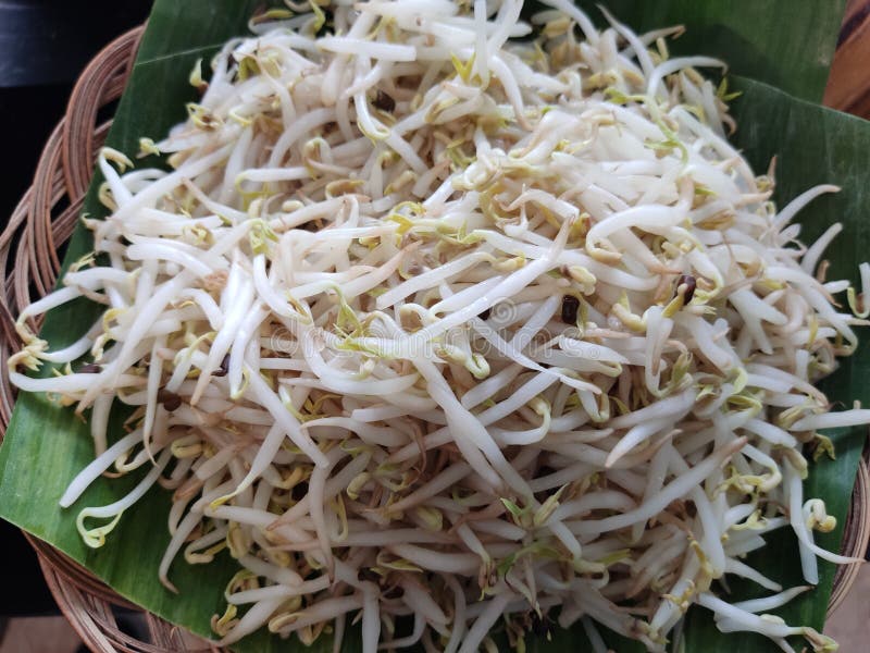 Boiled Bean Sprouts are Ready To Eat Stock Image - Image of dinner ...