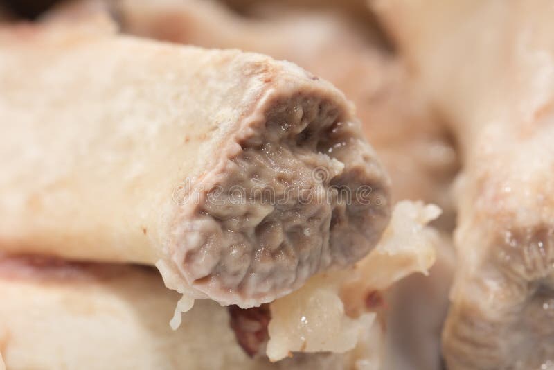 Boiled bones stock image. Image of fresh, macro, cuisine - 64427655