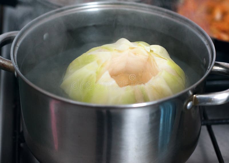 Boiled cabbage stock image. Image of homefood, ready - 111794253