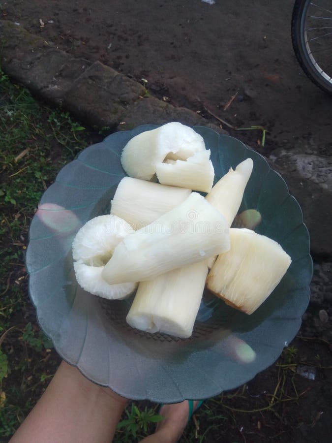 Boiled Cassava at the Plate Stock Image - Image of meal, cuisine: 224709533