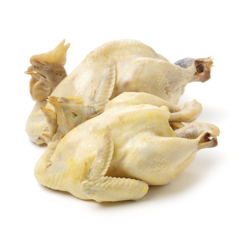 Boiled a chicken stock image. Image of boils, background - 137491369