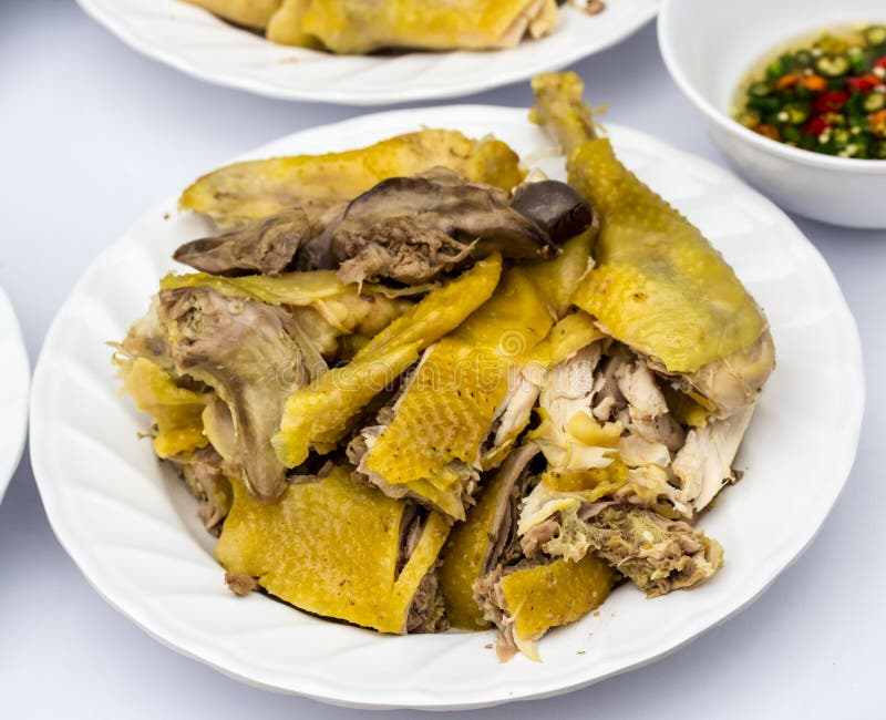 Boiled chicken stock image. Image of meat, boiled, delicious - 48738233