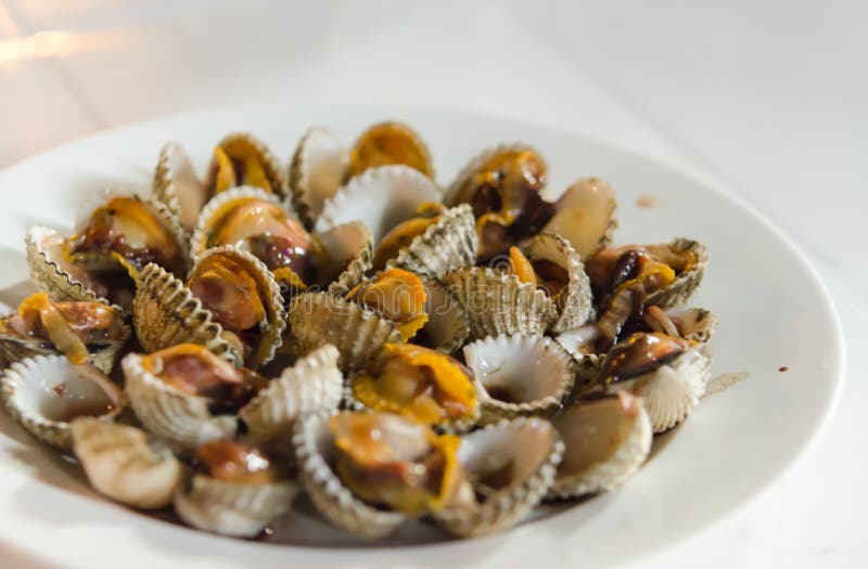 Boiled cockles stock photo. Image of cockles, mammal - 36909140