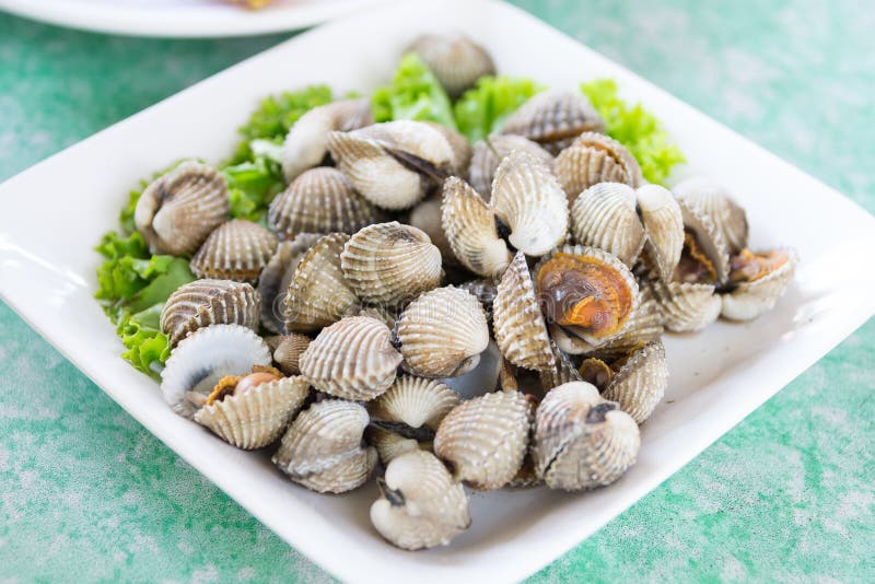 Boiled cockles stock image. Image of healthy, grill, meat - 53704253