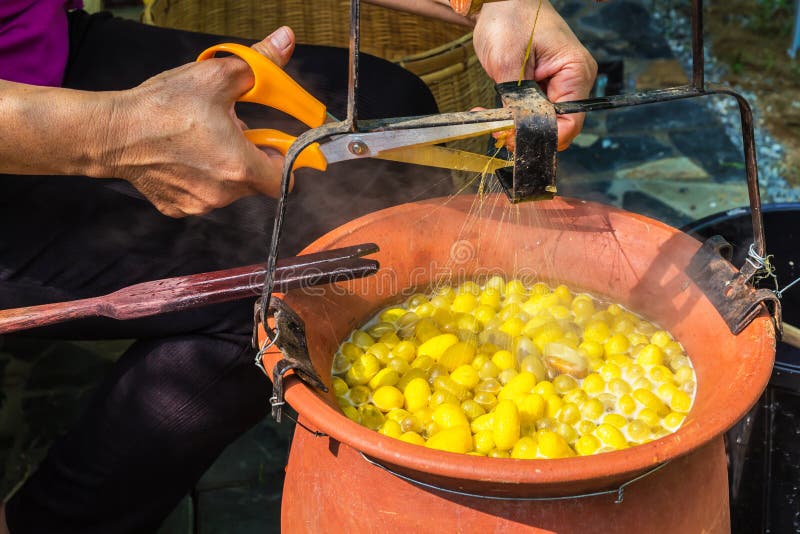 Boiled cocoons stock photo. Image of material, insect - 67991060