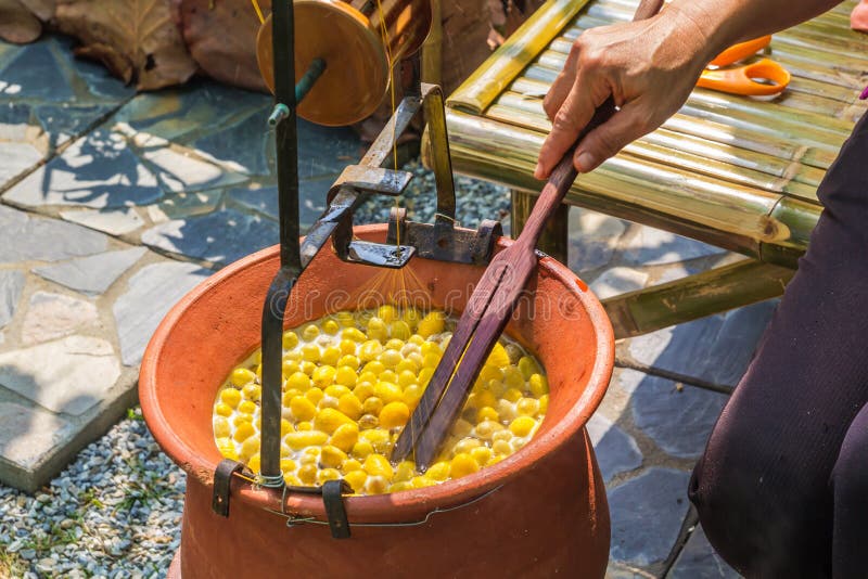 Boiled cocoons stock image. Image of fiber, silky, insect - 67991483