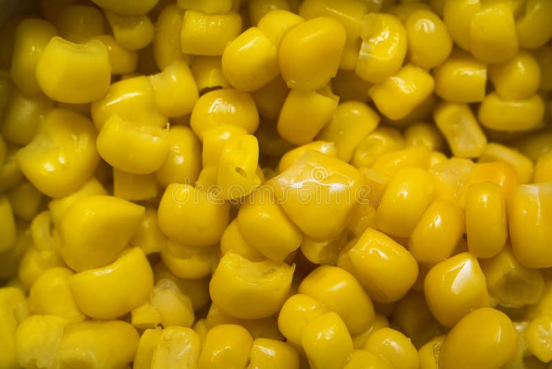 Boiled corn stock image. Image of gourmet, healthy, cuisine - 29473033