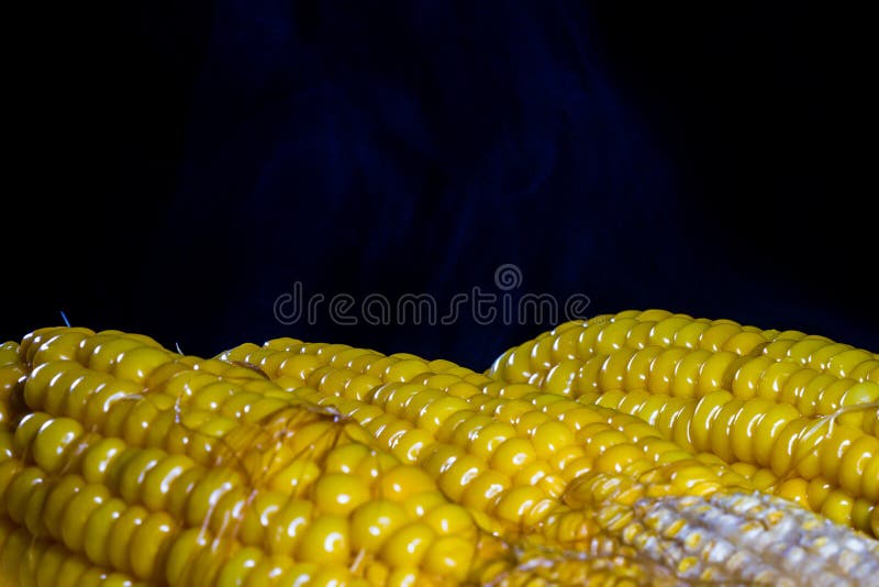 Boiled corn stock photo. Image of food, detail, healthy - 41670662