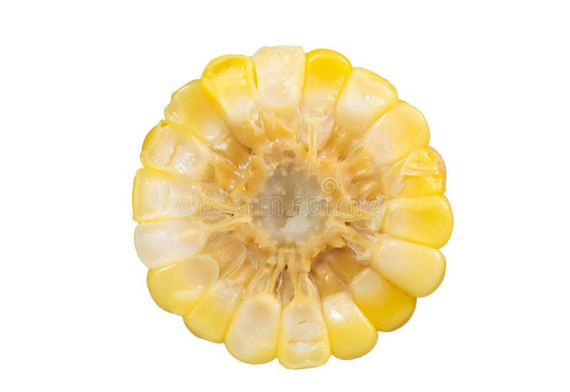 Boiled Corn Close-up Isolated on White Background. (clipping Path ...