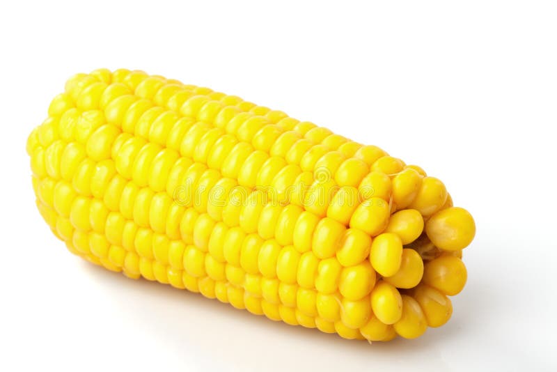 Boiled corn cobs stock photo. Image of fresh, background - 20546648