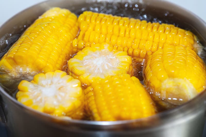 Boiled Corn on the Cob in a Pan Stock Image - Image of dish, gourmet ...