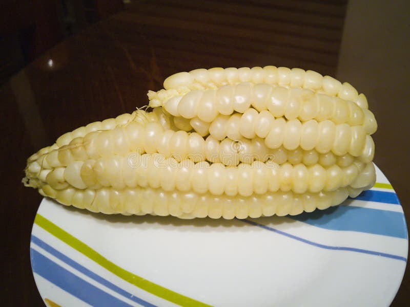 Boiled Corn on the Cob, with a Special Shape Stock Photo - Image of ...