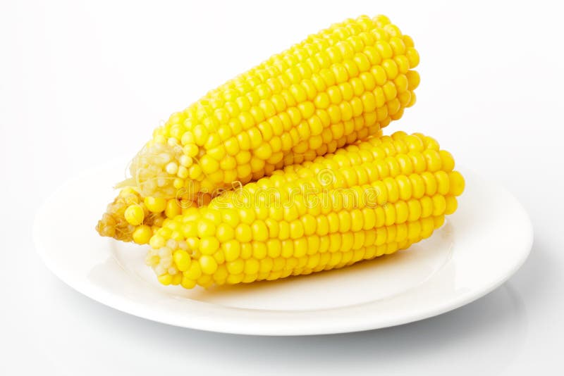 Boiled corn cobs stock photo. Image of farm, health, grain - 20546648