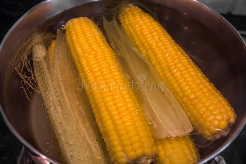 Boiled corn in hot water stock image. Image of maize - 83474715
