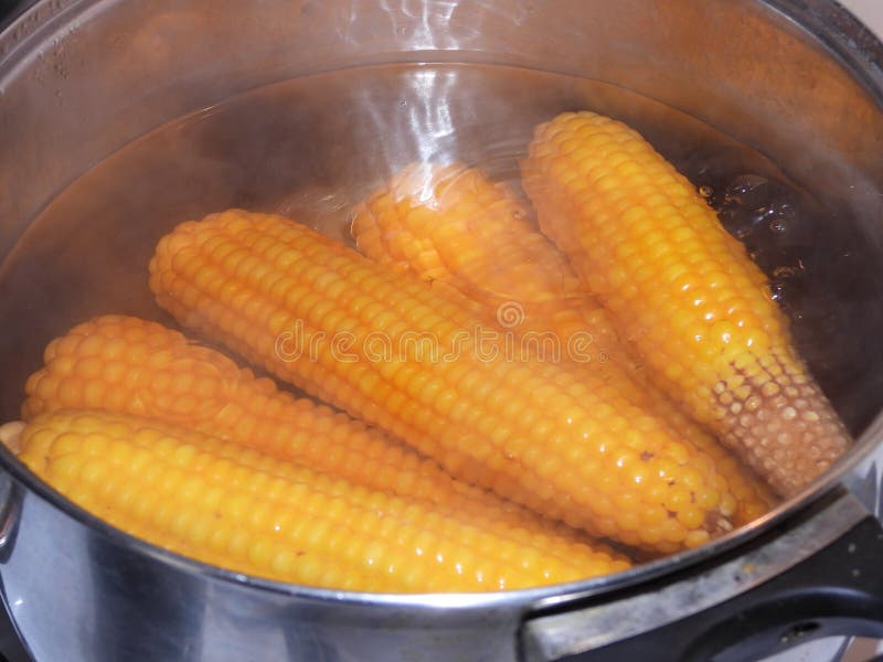 Detail of Boiled Corn in Boiling Water 2 Stock Photo - Image of boiled ...
