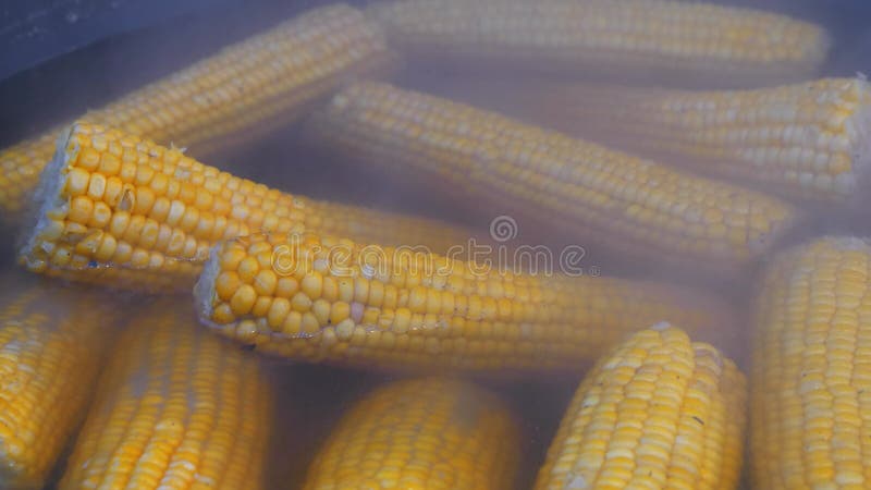 Boiled Corn Lies in Cauldron with Hot Water Stock Video - Video of food ...